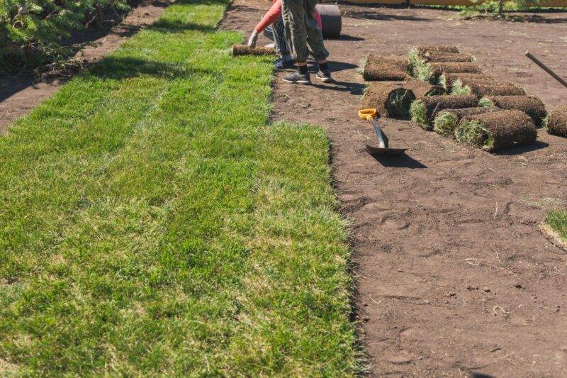 Sod Installation Toronto | Sod Toronto - Sodding Contractor