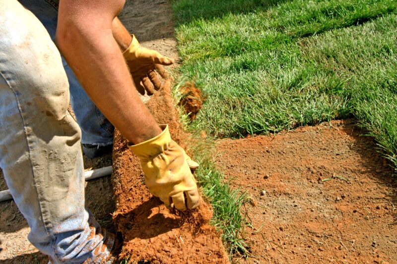 Sod Installation Toronto | Sod Toronto - Sodding Contractor