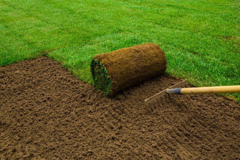 Sod Installation Toronto | Sod Toronto - Sodding Contractor